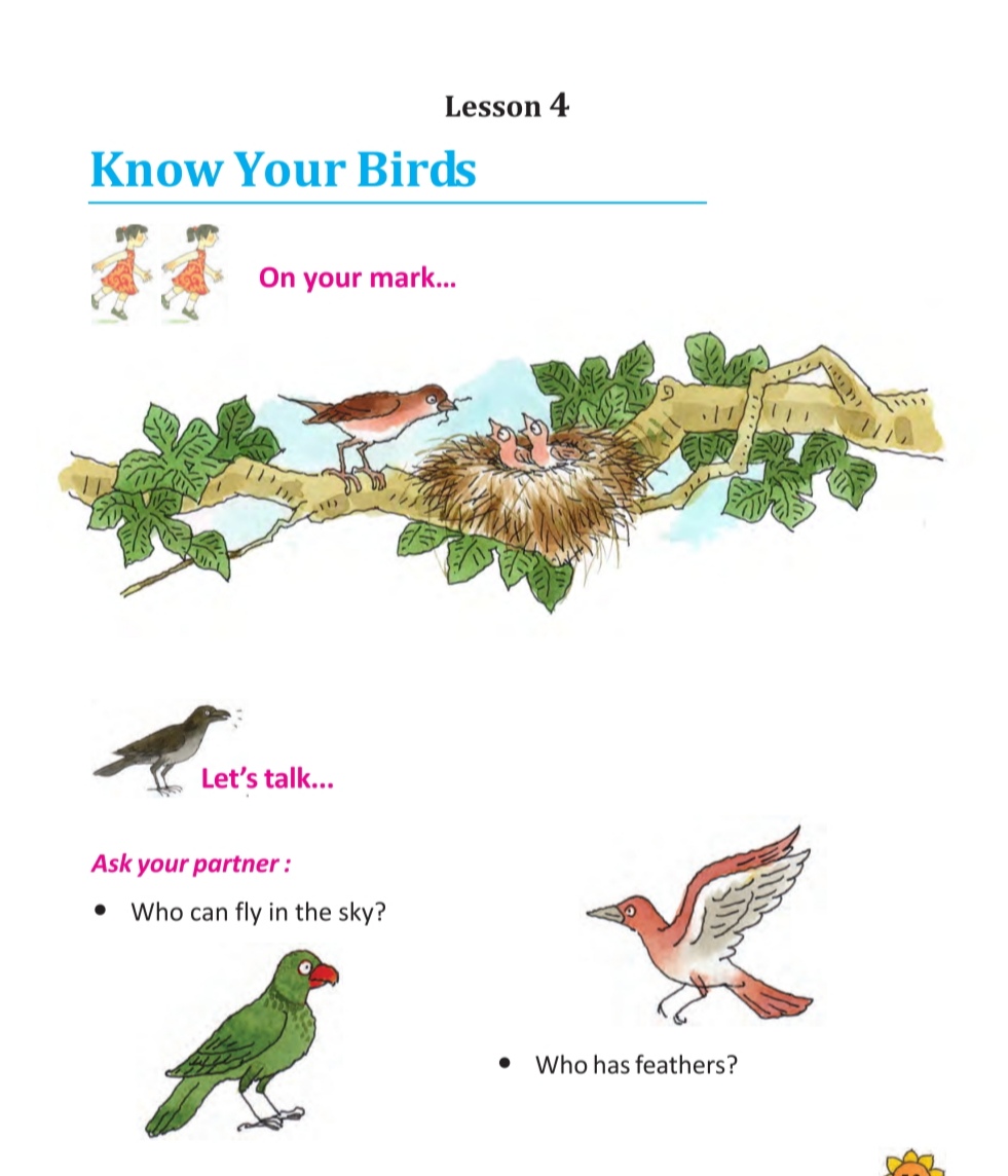 Know Your Birds | Class 3 | Lesson 4 | Activity Answers